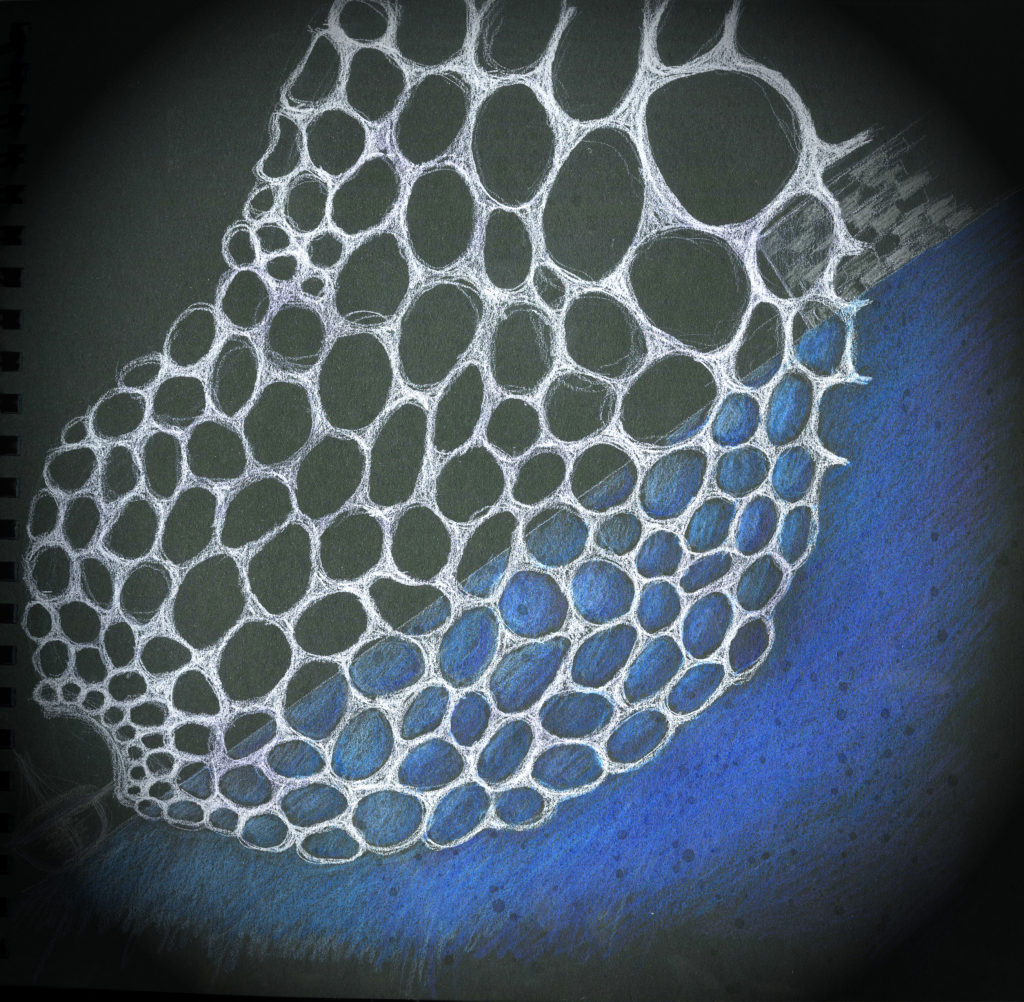 Dessins – yan wang